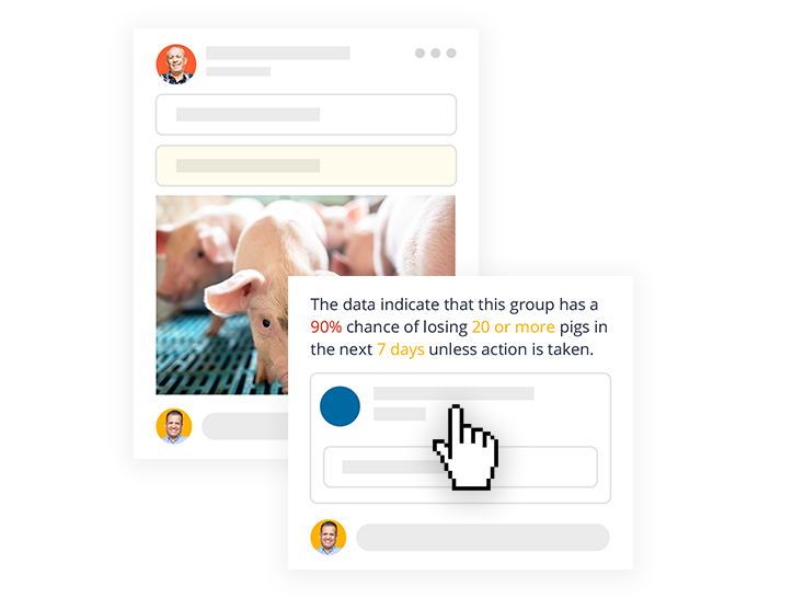 Swine Management Software for Data Collection | EveryPig