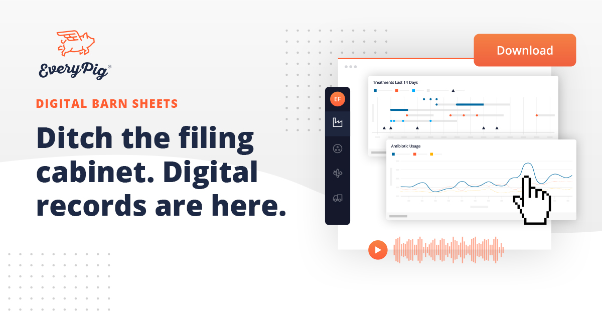 Digital Barn Records | Digital Pig Barn Sheets Are Here | EveryPig