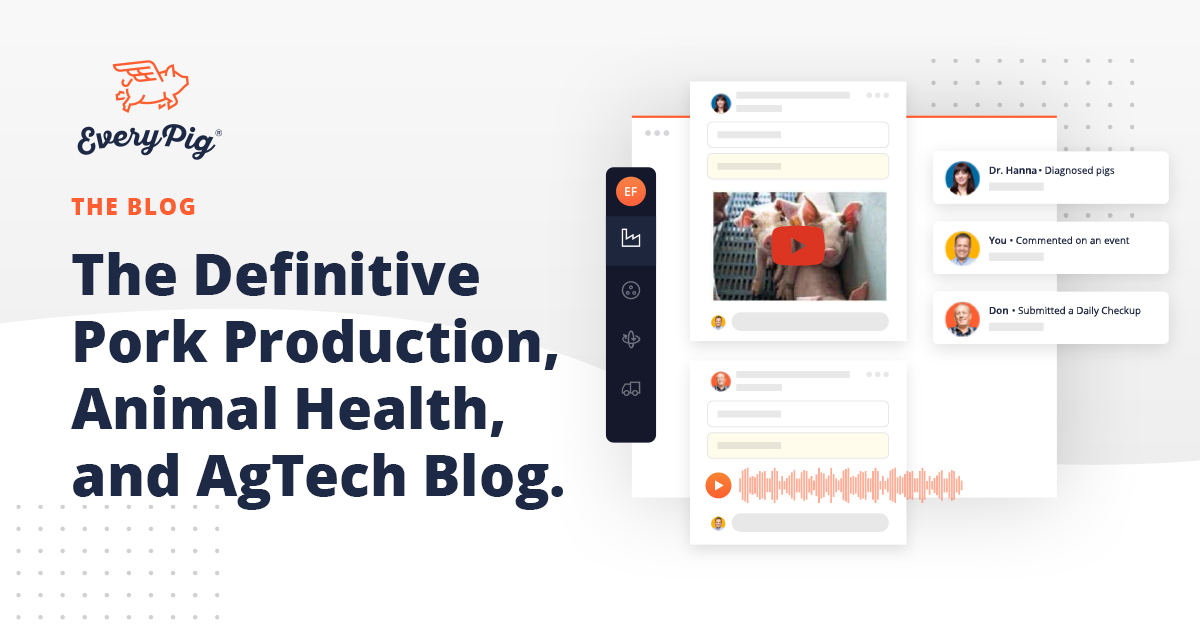 Blog - EveryPig