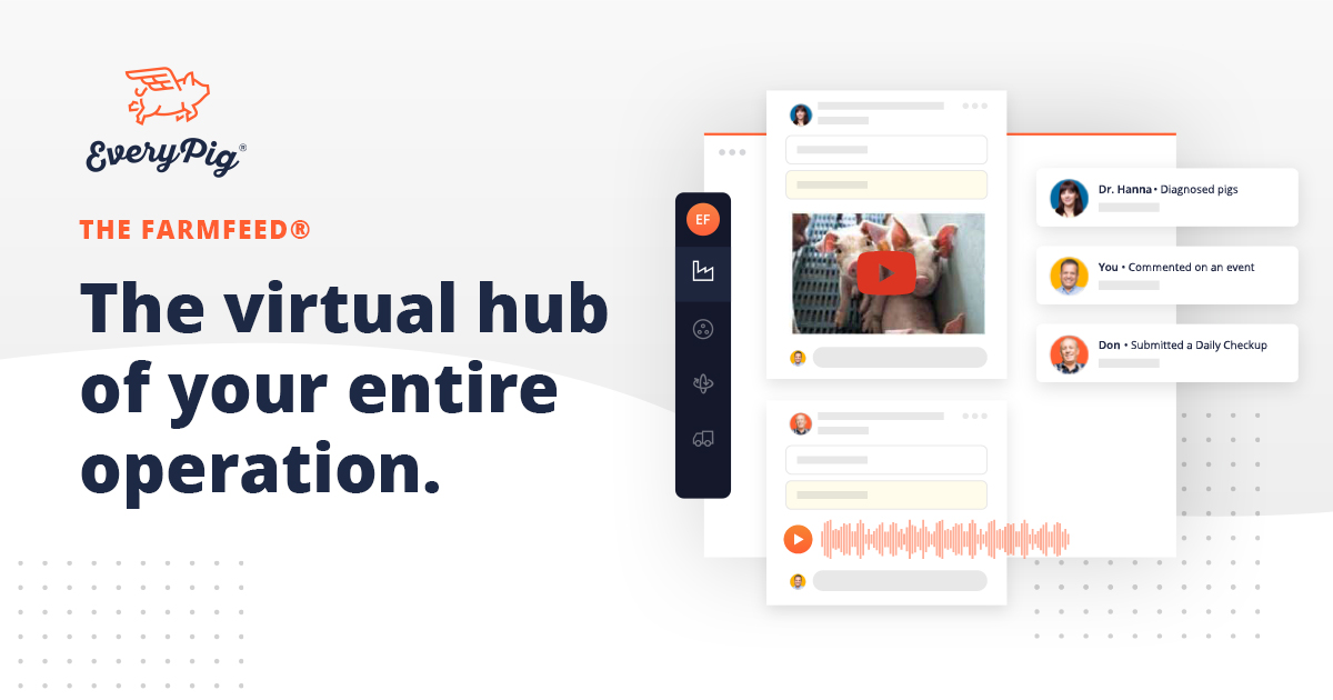 Farmfeed® | Pig Farm Management Software | EveryPig