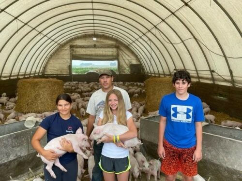 Traditional Pig Raising Practices Enhanced by New Technology - EveryPig